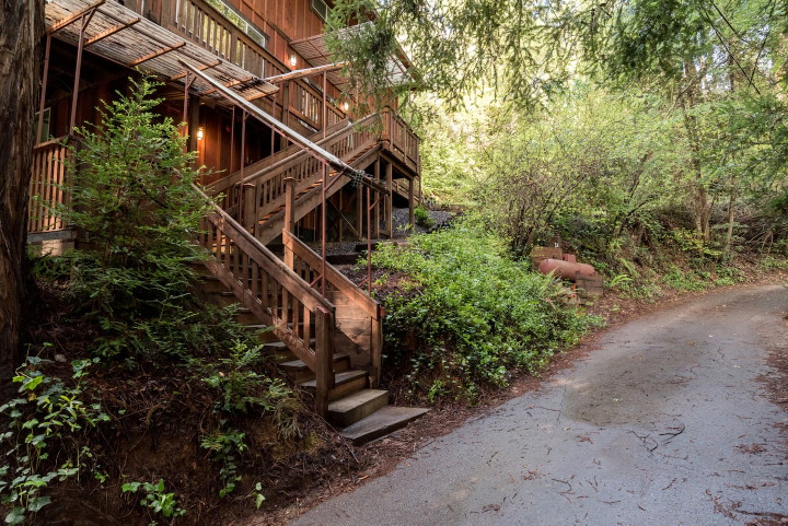 The "Bird's Nest" In The Redwoods - California