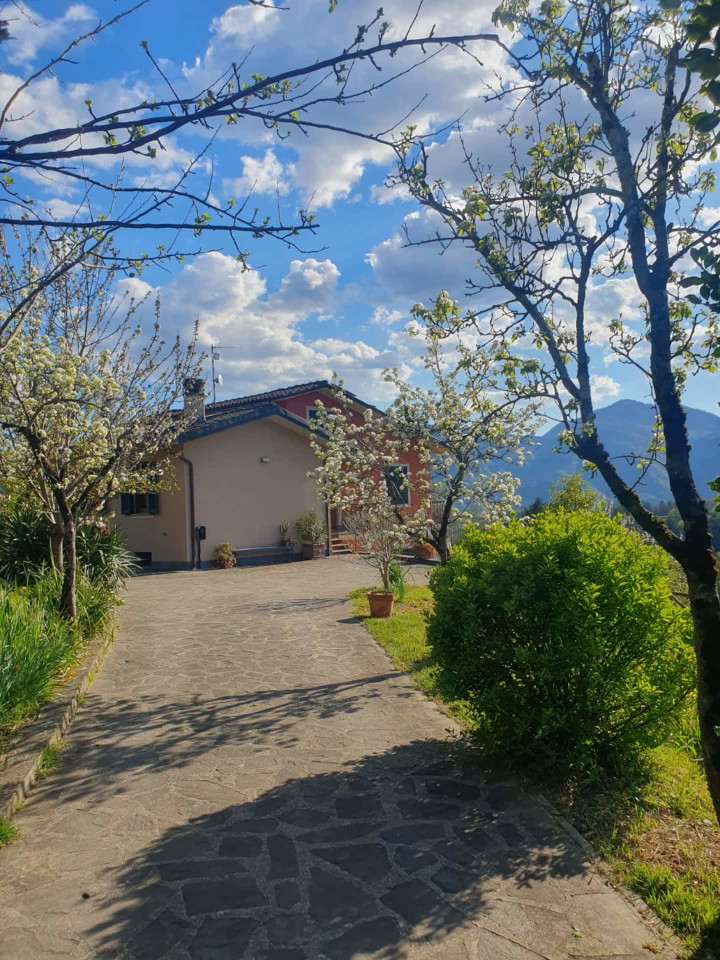 The Echo Of Barga - Abetone
