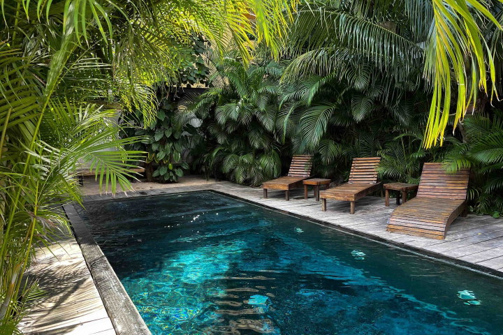 Découvrez L'ambiance De La Jungle Entourée De Palmiers - Tulum