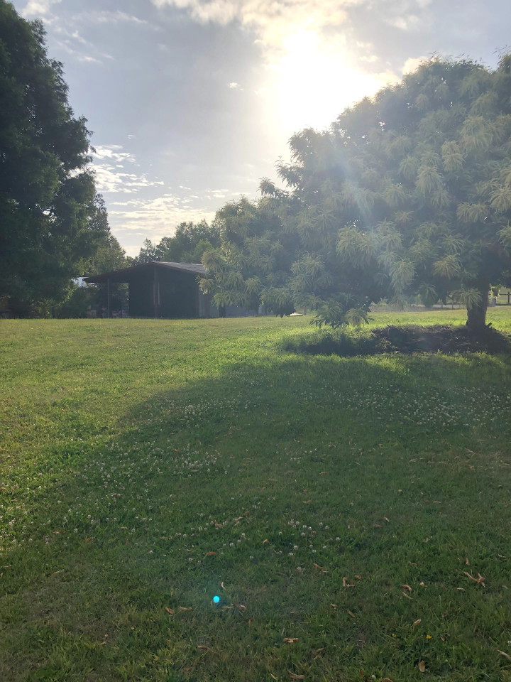 Castaño Panguipulli Cabin. - Panguipulli