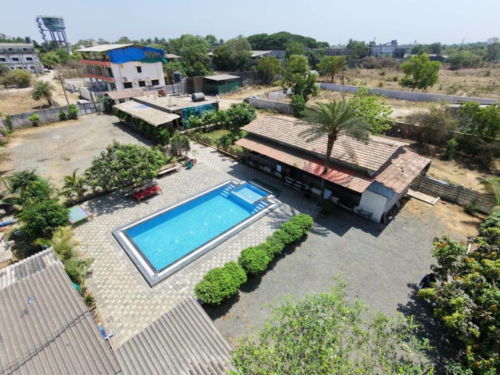 Wild Wood Farms - Daman