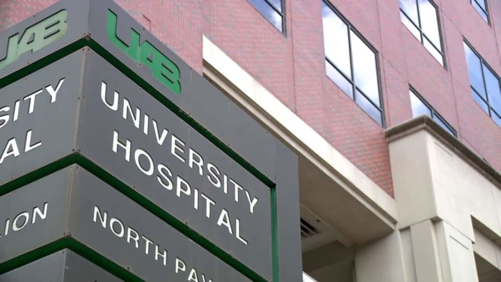 Newly Renovated 1+1. Quiet! Walk To Uab Campus - Birmingham, AL