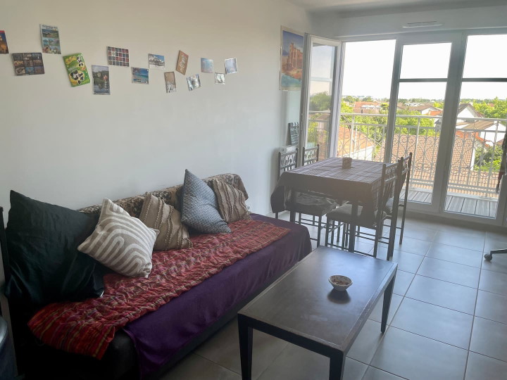 Appartement Cosy Et Lumineux - Le Blanc-Mesnil
