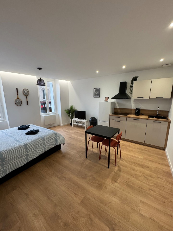 Studio Neuf Et éLégant Au Centre De Vierzon - Vierzon
