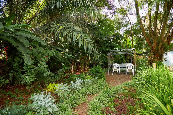 Kololo: Nature's Embrace - Uganda