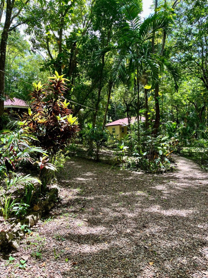 Three Private Cabins-9 Persons*7 Beds & Restaurant - Belize