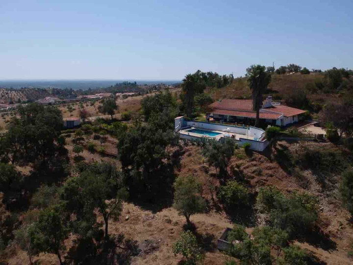 Quinta C/ Piscina - Montargil - Montargil
