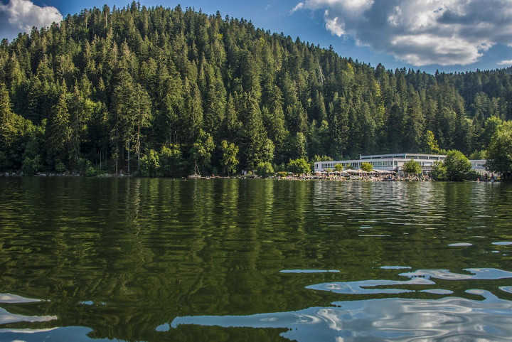 Au Bord Du Lac - Logement 28 M2 De 1 à 4 Pers - Gérardmer