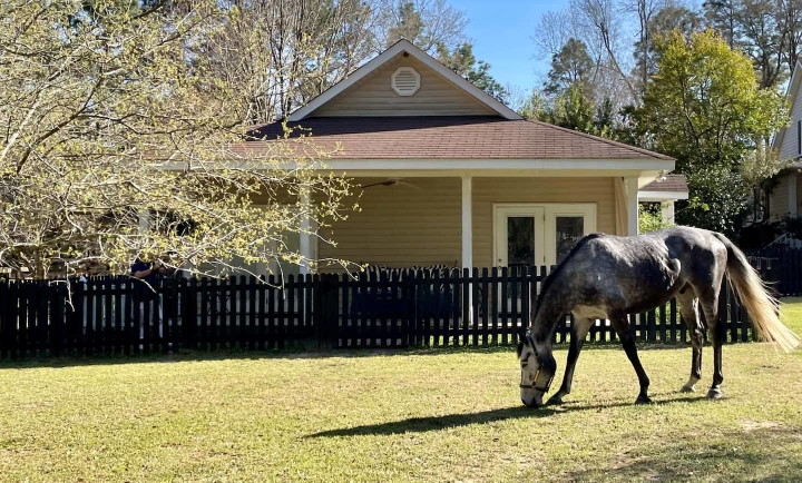 Idyllic Horse Cottage 2 Miles From Aiken's Center! - Aiken, SC