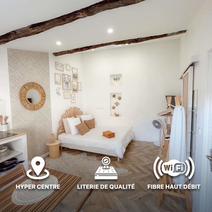 Renovated, Historic Center, Air Conditioning, Roof View - Pézenas