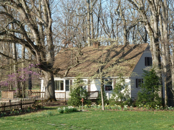 ¡Nuevo En El Mercado De Alquiler! Oak Tree Cottage, Un Refugio En El Bosque De Virginia Central - Waynesboro, VA