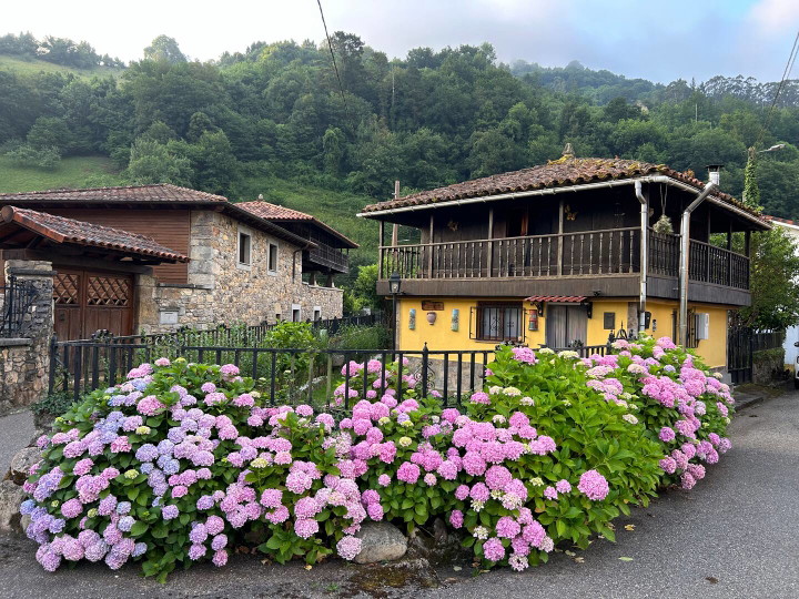 Finca Del Hórreo - Salas