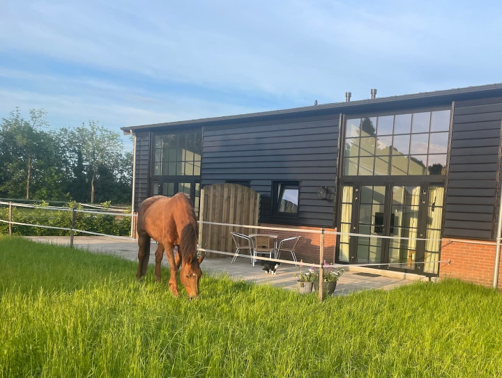 Welkom Bij B&b Hamzicht Appel - Maarssen