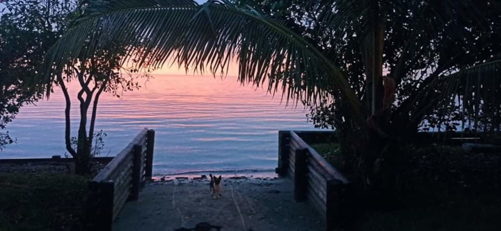 La Maison De La Plage - New Caledonia