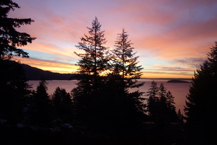 The Cabin At Tyee House - Bowen Island