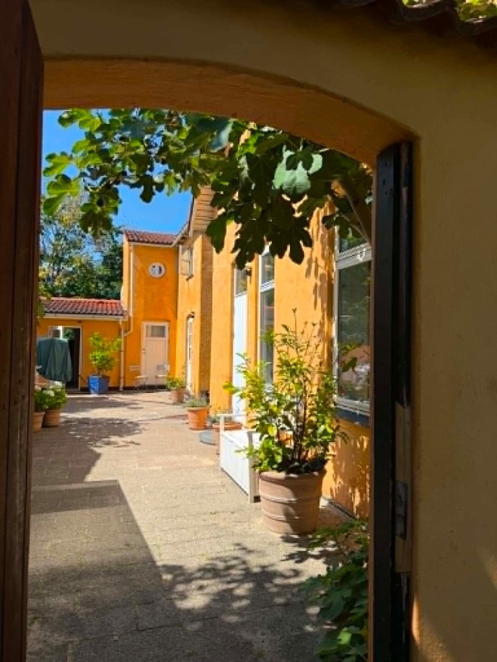 To Dejlige Huse Med Gratis Parkering Ved Sø - Copenhagen