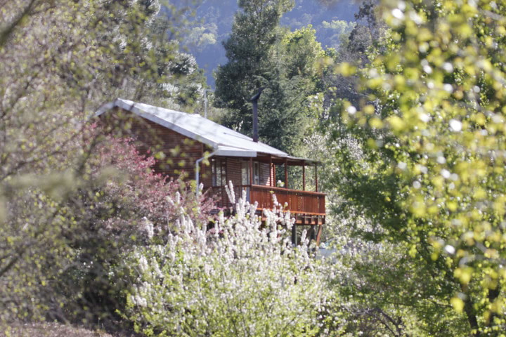 Nibelheim Self Catering Cottage - Hogsback