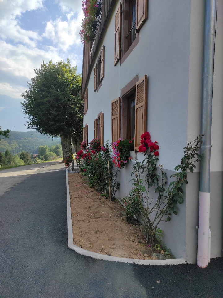 Gîte Lindenhutte - Le Hohwald