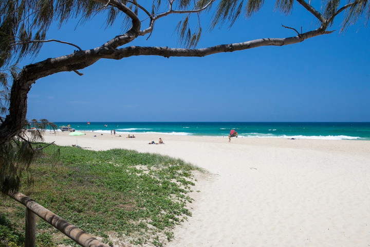 Country Estate | 10 Minutes To Beach Near Noosa - Noosa