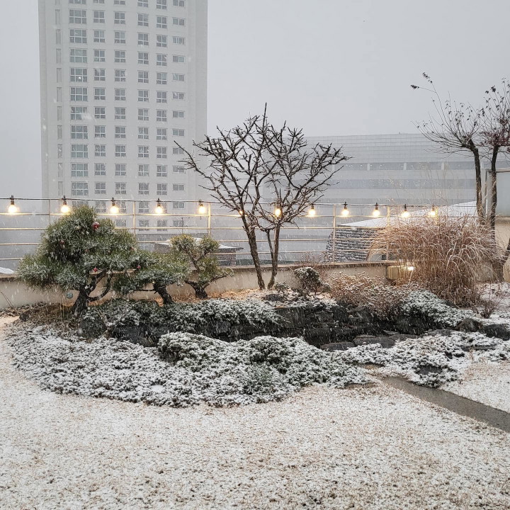A Studio Gangnam/the K Hotel/yangjae  Forest St - Seoul