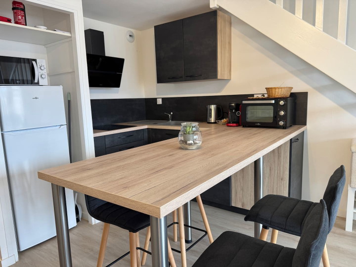 Duplex Studio Between Lake And Center - Ideal For Spa Guests - Chambéry