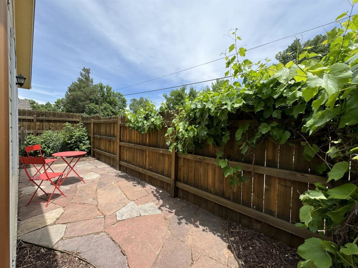 Enchanting Grapevine Alley - Fort Collins, CO