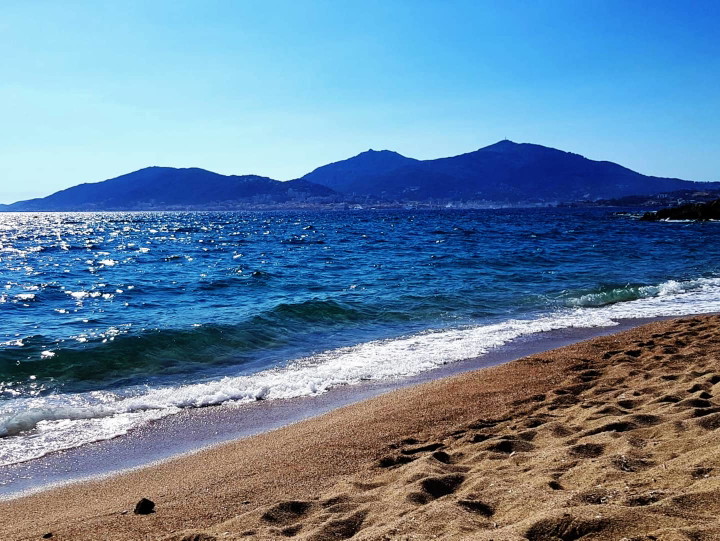 Appartement Climatisé Proche De La Mer - Olmeto