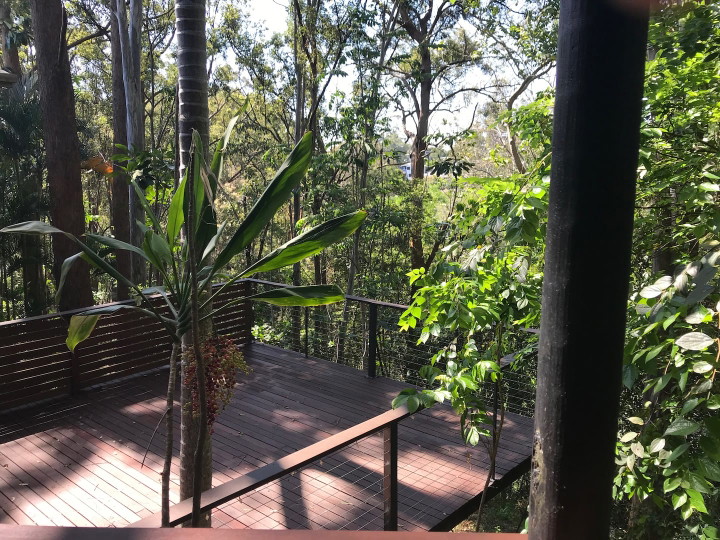Tranquil Rainforest Getaway - Sunshine Coast