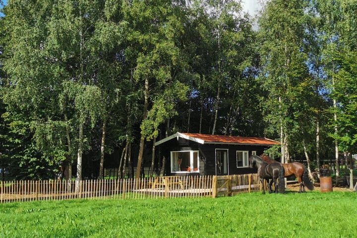 Chalet Op Groene Locatie. - Zaltbommel