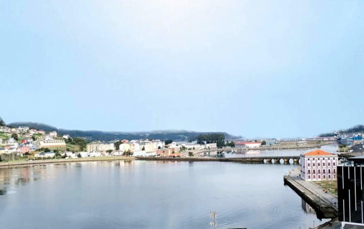 Vbahía Y Vccp - Viveiro