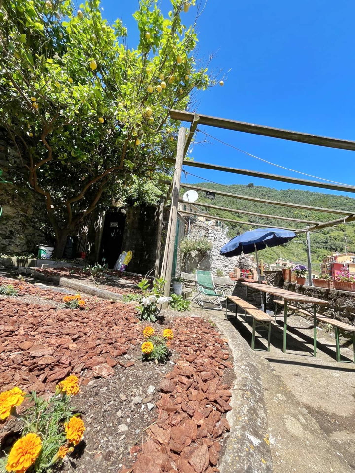Annalù Vernazza [Garden, Attic And Wi-fi] - Cinque Terre