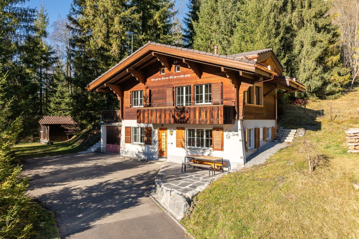 Chalet Spatz Gesamtes Chalet Mit Sauna&cheminée - Adelboden