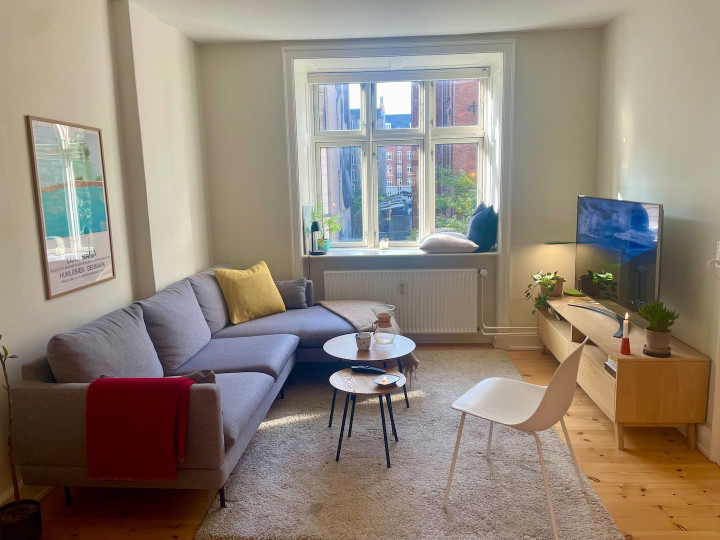 Cozy And Central Danish Apartment In Copenhagen - Copenhagen