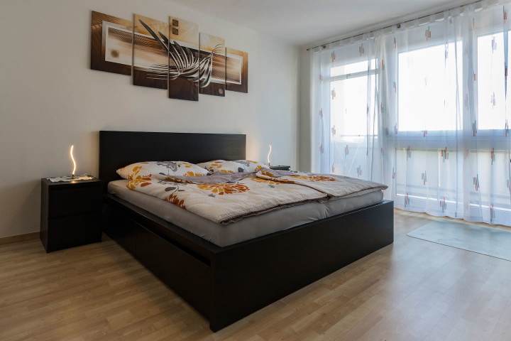 Top Apartment Near The City Center/city Park - Graz