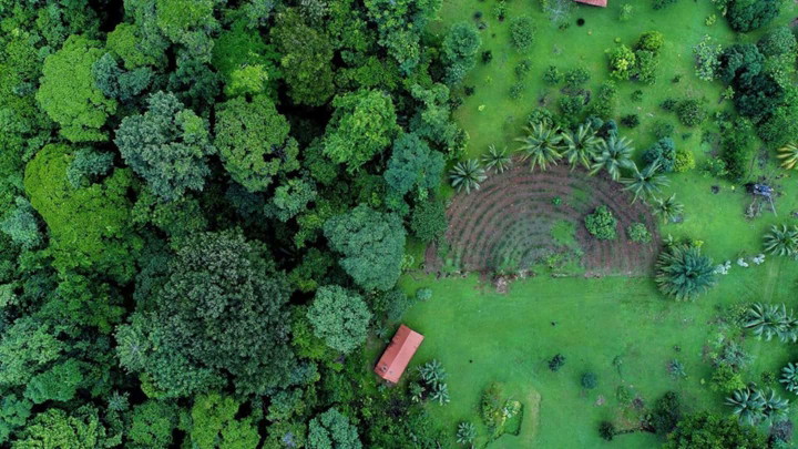 Eco Farm Rustic Cabin "Congo" 2 Persons - Costa Rica