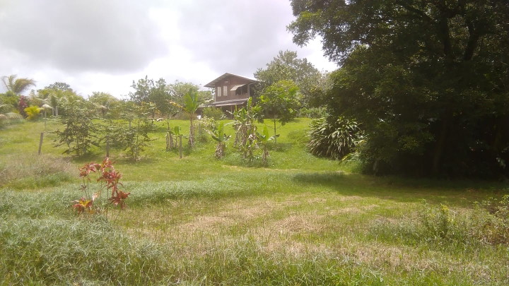 Belle Villa En Pleine Nature à 20 Km De Cayenne. - French Guiana