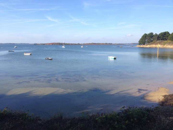 Duplex Golfe Du Morbihan - Séné
