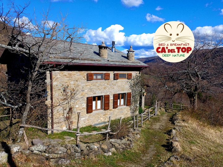 B&b Ca' Del Top (Tana Rossa) - Abetone