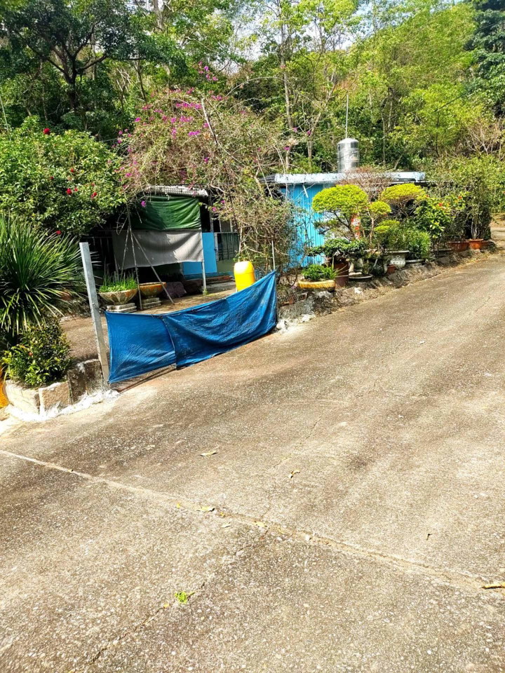 大自然中的小屋,戶內可架設帳篷 - 壽豐鄉