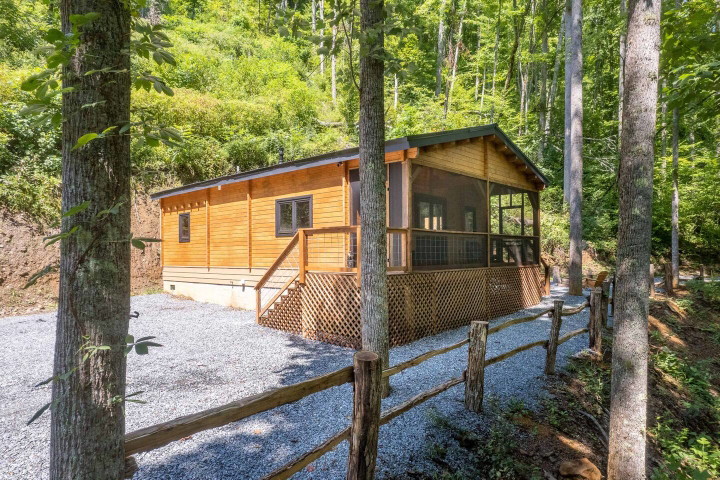 Moose Lodge Cabin With Loft And Gameroom Access - Bryson City, NC