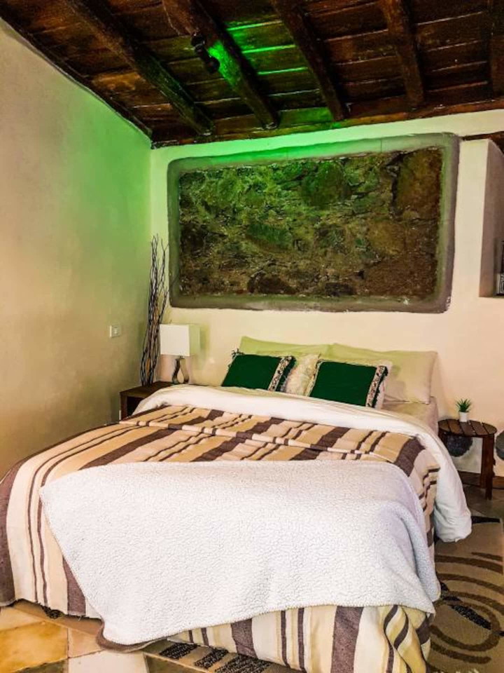 Renovated Apartment In A Canarian House. - La Laguna