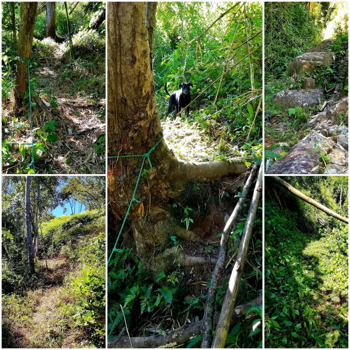 Camping Spot On Multi Use Property - Porto Rico