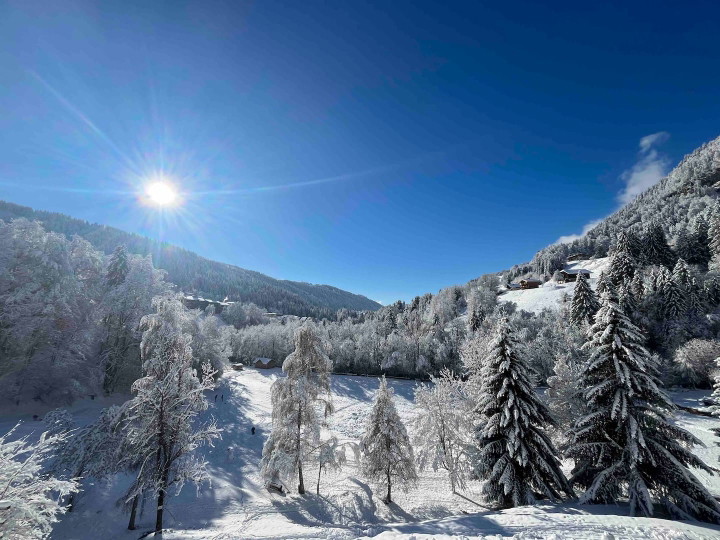 Appartement 50m2 Devant Le Lac De Flumet - Flumet