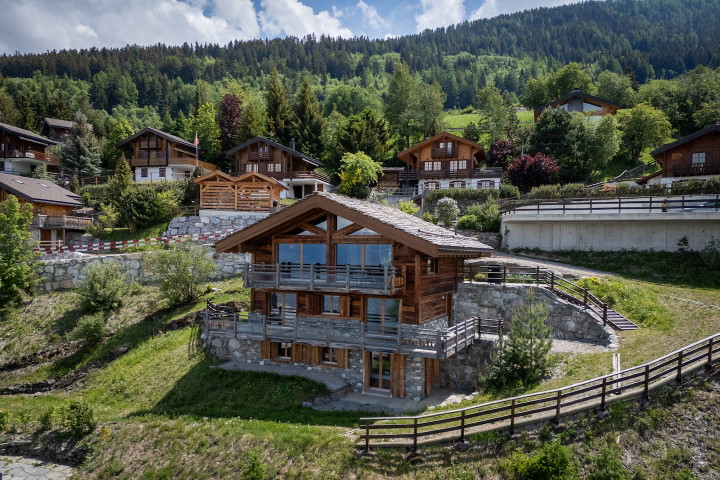 Chalet Oak Tree Amazing, Sauna, Ski-in/out - Switzerland