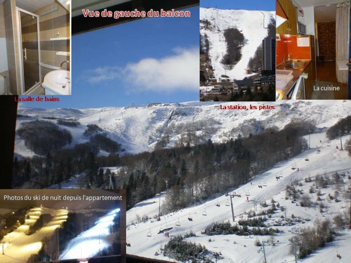 Appt 3 Prs Tour De La Biche - Besse-et-Saint-Anastaise