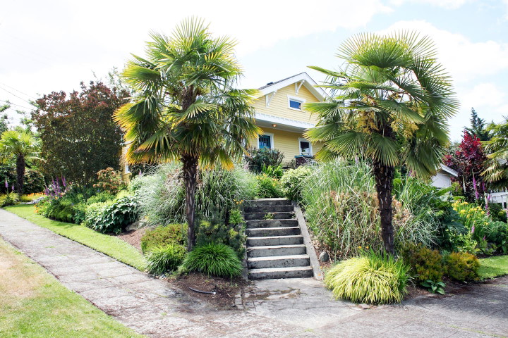 Charming Sun-filled Craftsman View Home In Tacoma! - Tacoma, WA