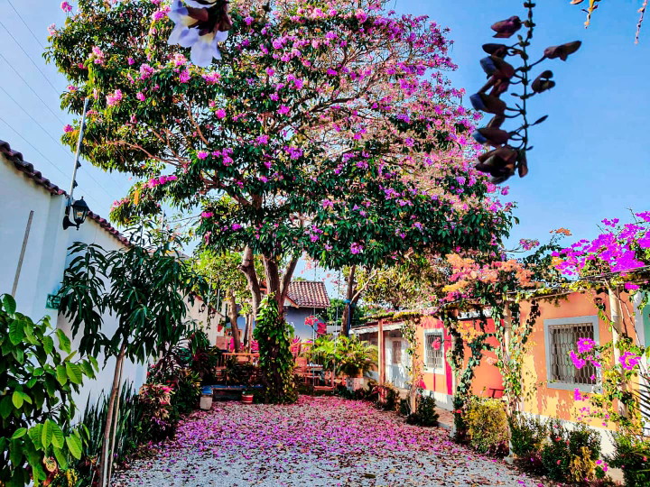 Guajira House Cabaña No. 06 - Riohacha