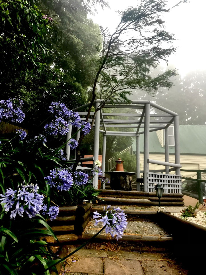 Blue Mountains Katoomba Holiday Cottage - Katoomba
