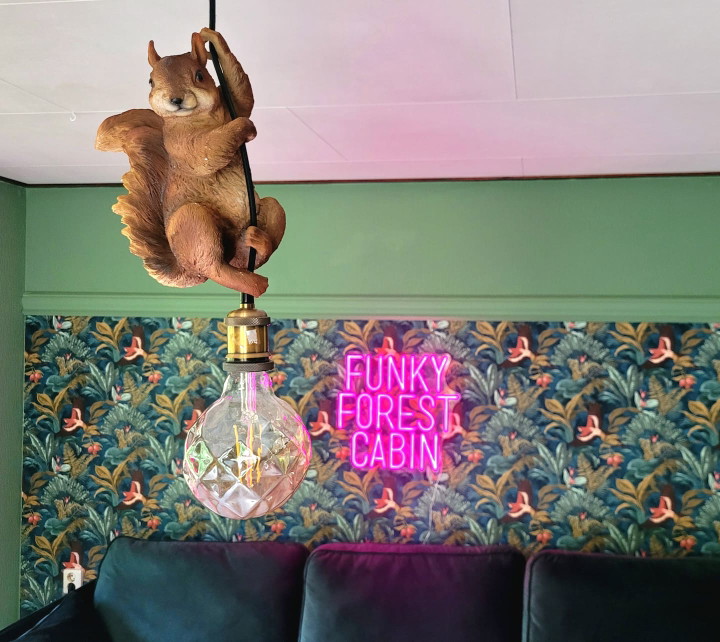 Stay In The Funky Forest Cabin! - Zwolle