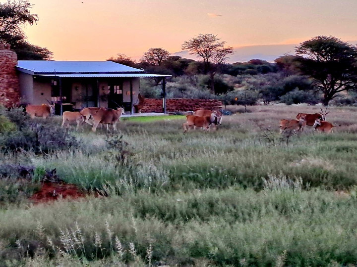 Moonrise Cabin - Wildlife Farm | 48km From Gobabis - Namibia